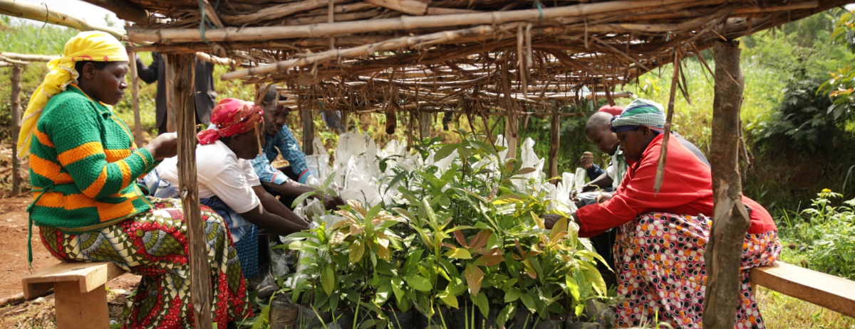 Découvrez le centre de formation de Secodev au Rwanda | Fédération ...